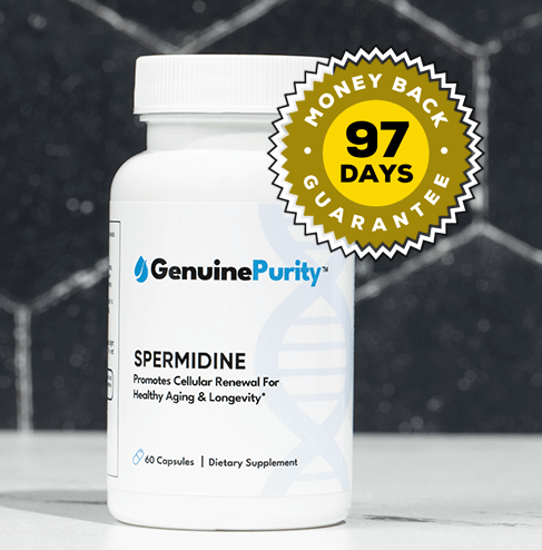 Autophagy Activator Spermidine Supplement - Health and Fitness Web